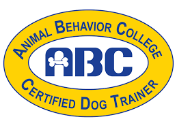 7 Best Online Veterinary Assistant Programs (Complete Guide)