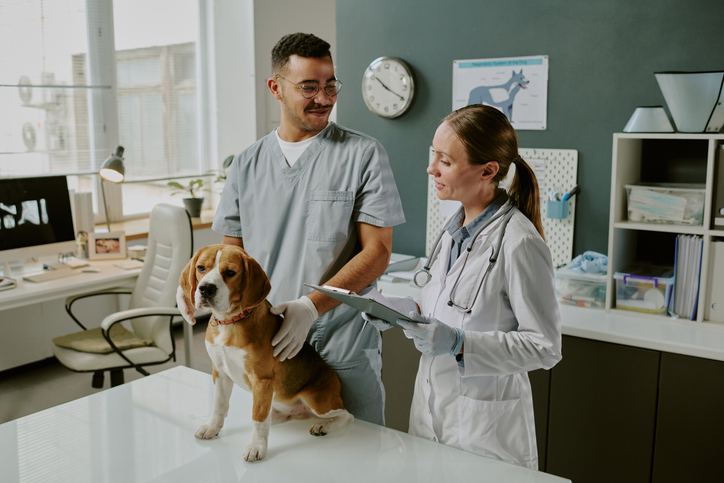 How Much Does it Cost to Become a Vet Technician?